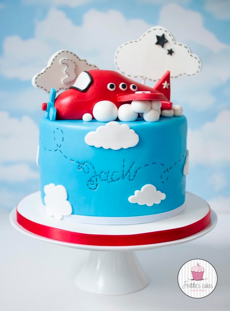 Aeroplane cake - Friddle's Cakes
