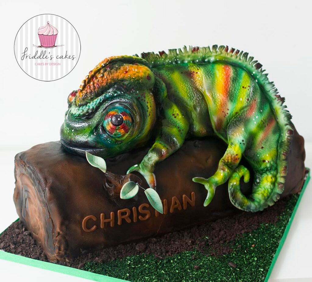 chameleon cake - Friddle's Cakes