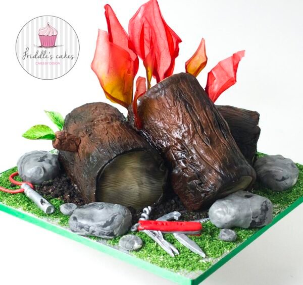 fire pit cake - Friddle's Cakes